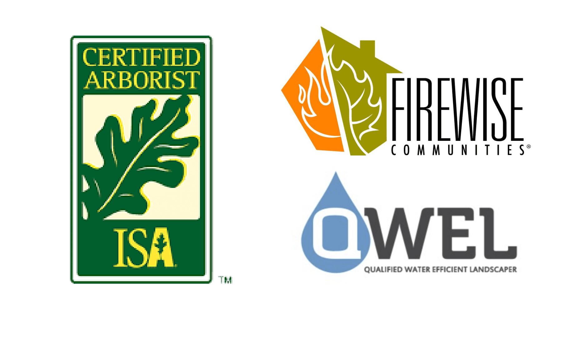 Tree Services, Arborist | Done Rite Tree Co. Serving Boise, Idaho