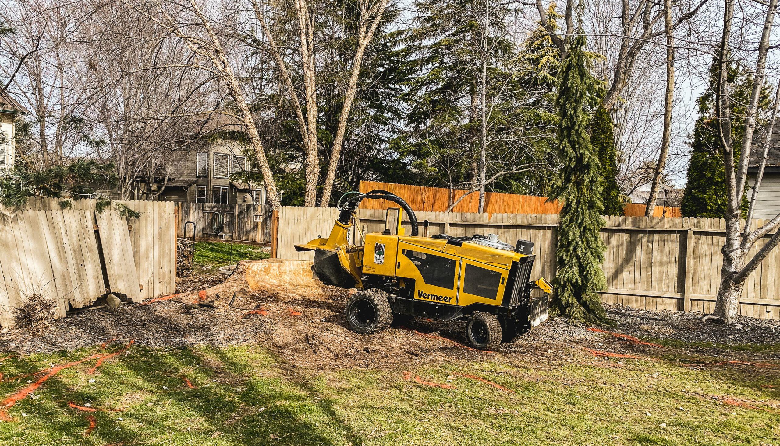 Stump Grinding - Boise, Meridian, Eagle - Done Rite Tree Co.