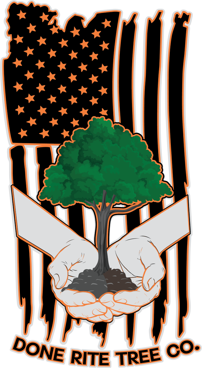 Tree Removal - Boise, Meridian, Eagle - Expert Arborists Done Rite